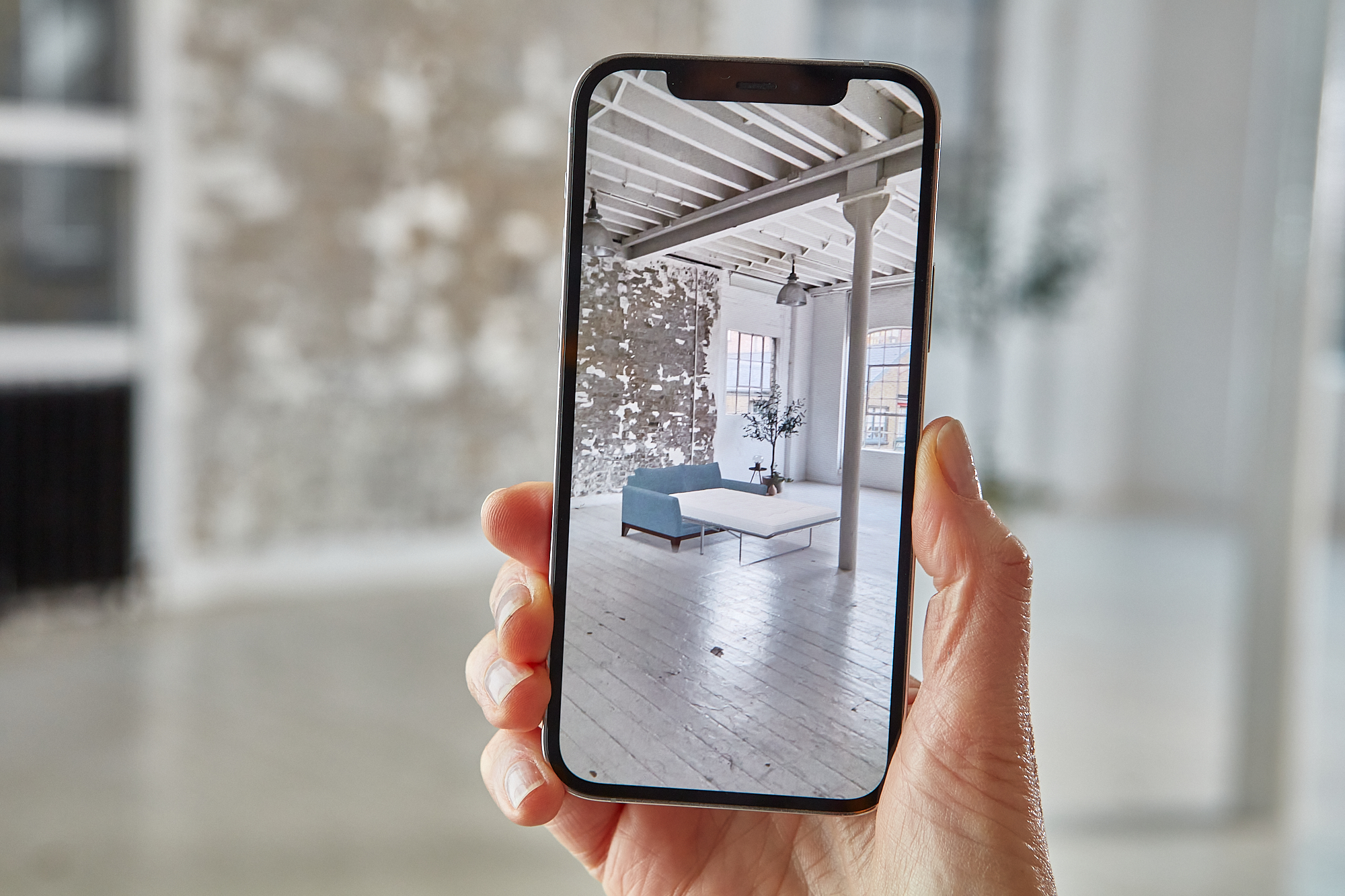New Augmented Reality Feature | Darlings of Chelsea